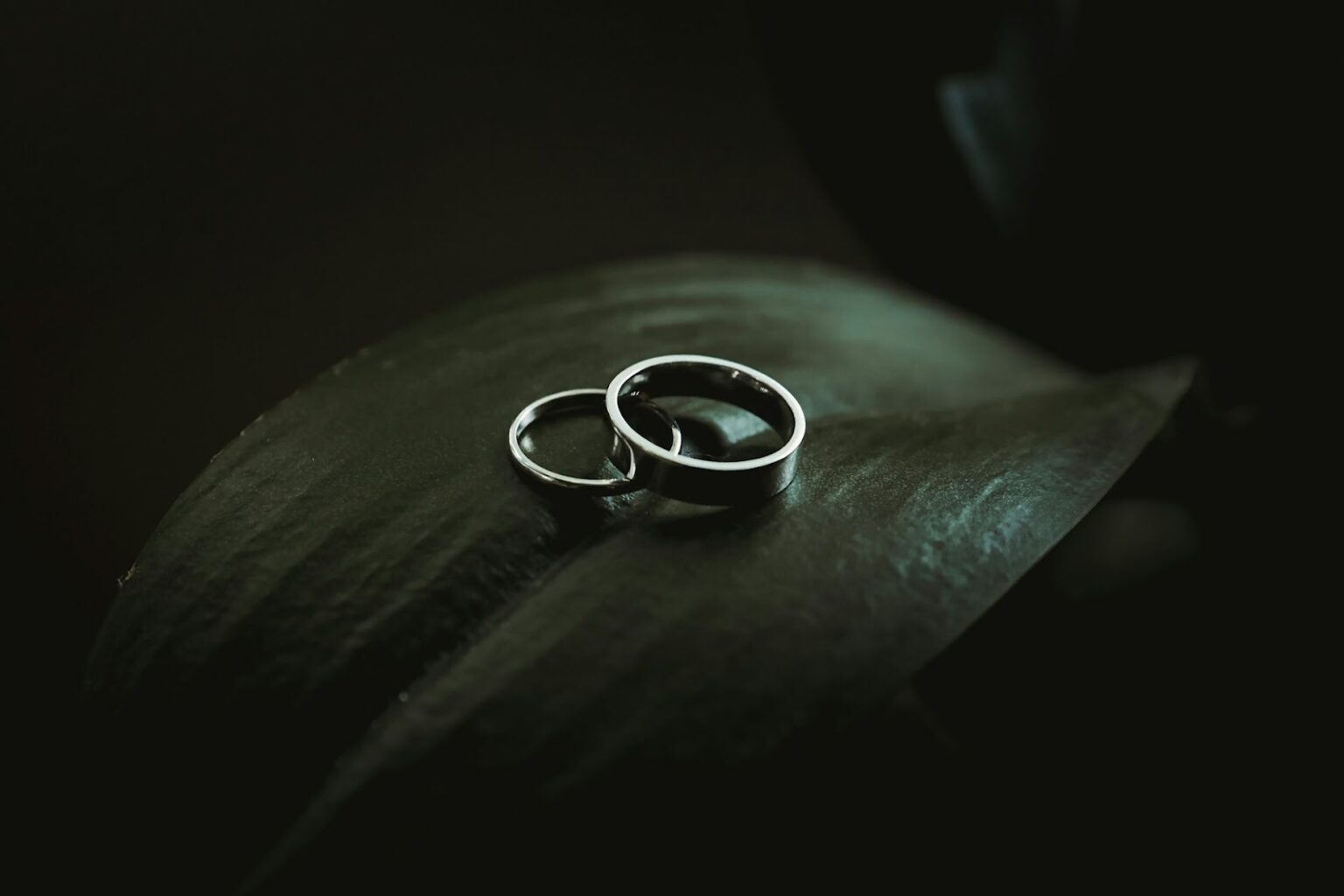 Purity and Chastity: Celibacy Ring Meaning and Significance - Body+Mind ...
