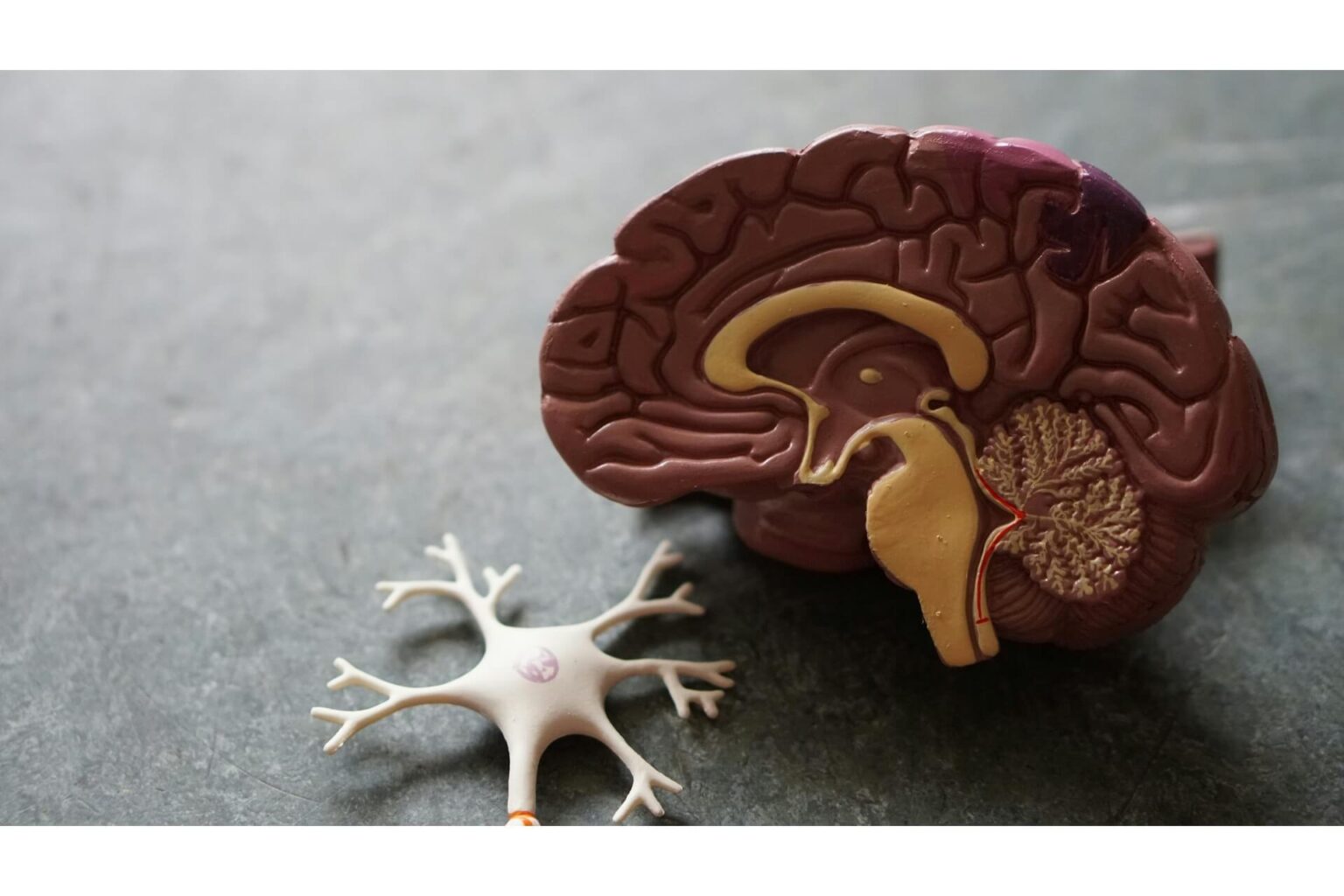 What Does Humming Do for Your Everyday Health?