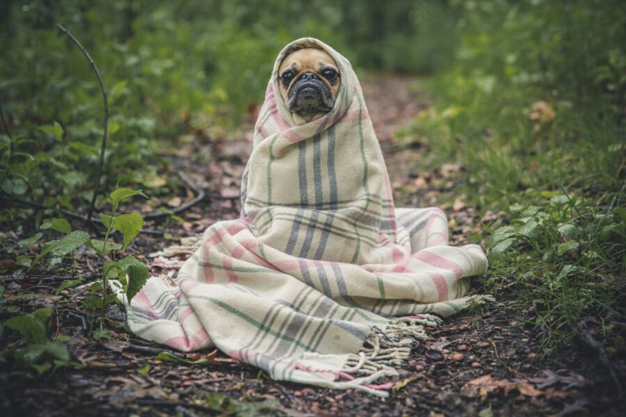 Why Am I Always Cold? 9 Possibilities to Explore - Body+Mind Magazine