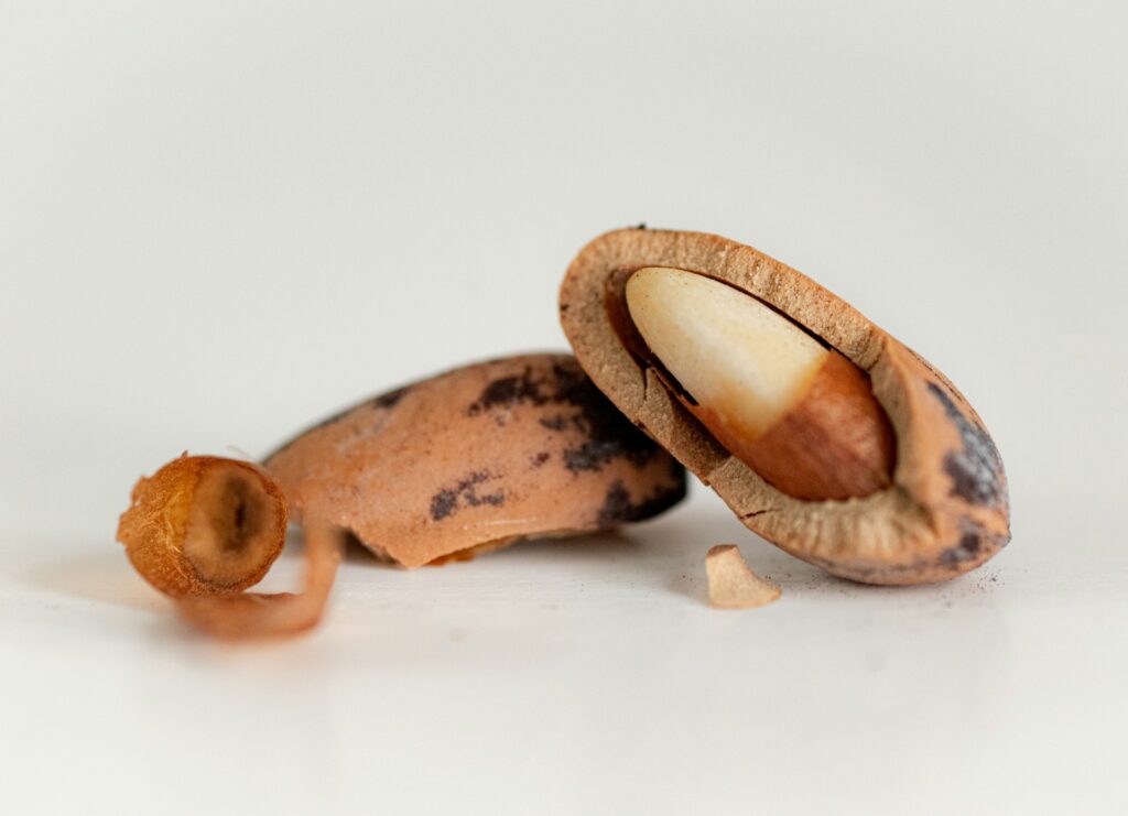 Pili: The Healthiest Nut You Never Heard Of - Body+Mind Magazine
